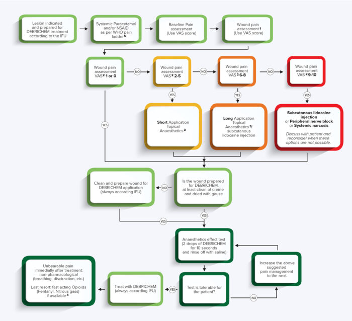 Pain Management Chart - Redefining Healing And Transforming Wound Care ...